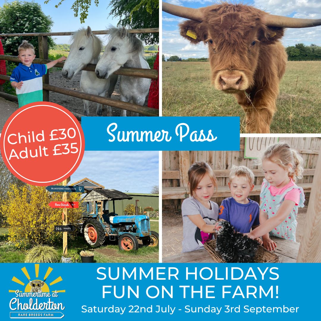 SUMMER PASS - Unlimited Entry! | Cholderton Rare Breeds Farm