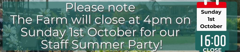 Cholderton Rare Breeds Farm | Family Days Out Wiltshire