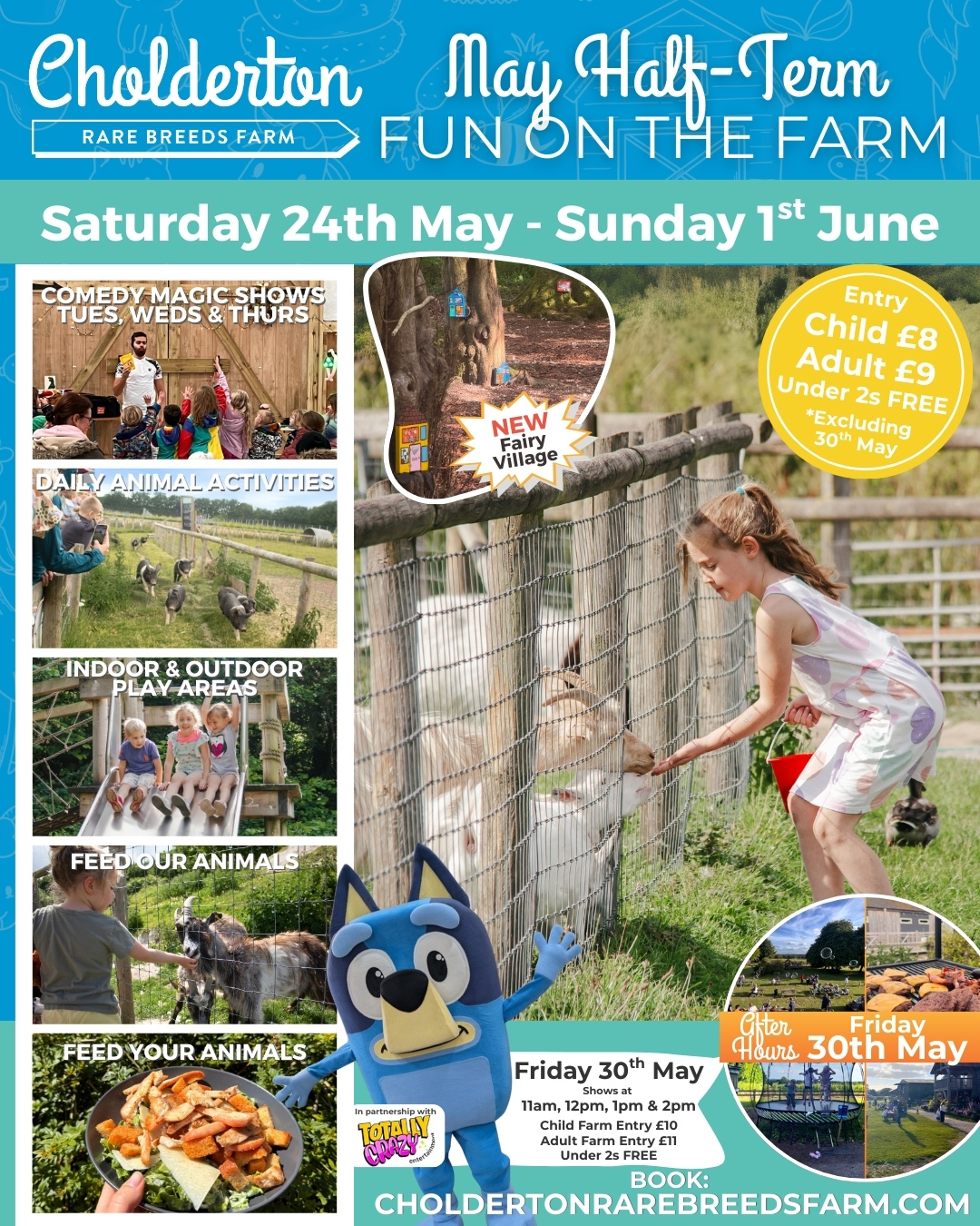 Cholderton Rare Breeds Farm | Family Days Out Wiltshire